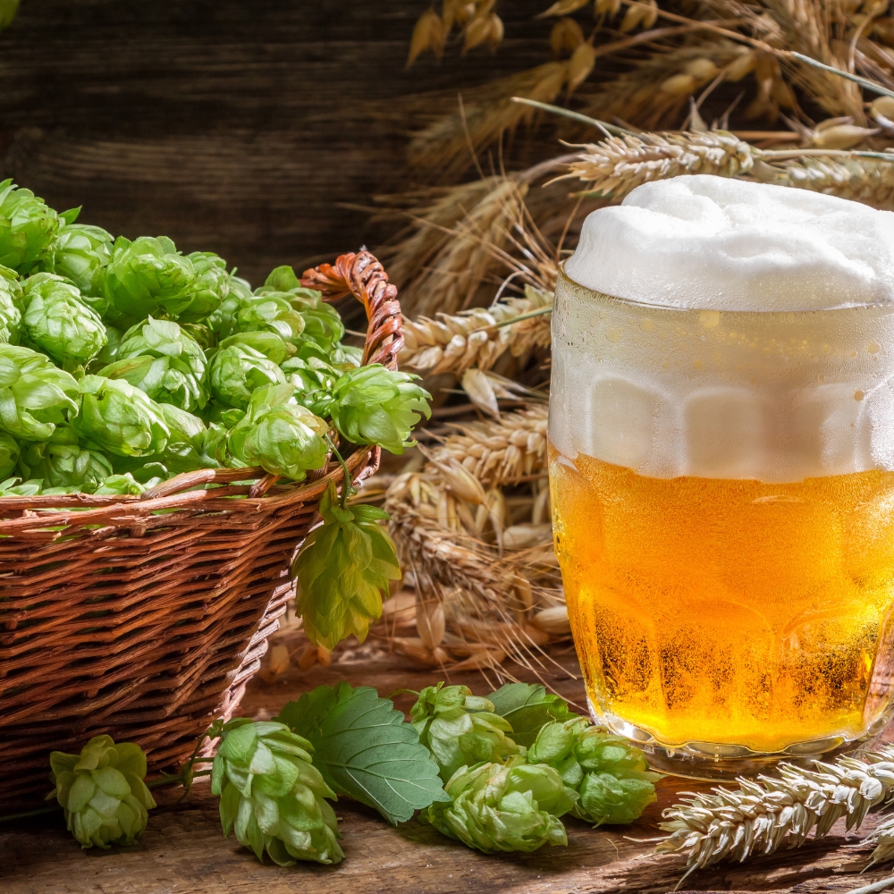 The Pursuit of Hoppiness – Hop Profile Cheat Sheet